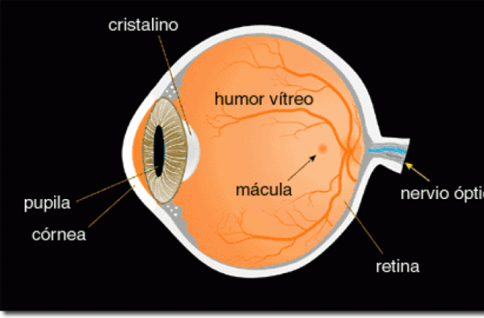 Página principal 1 | Fundación CIENTEC